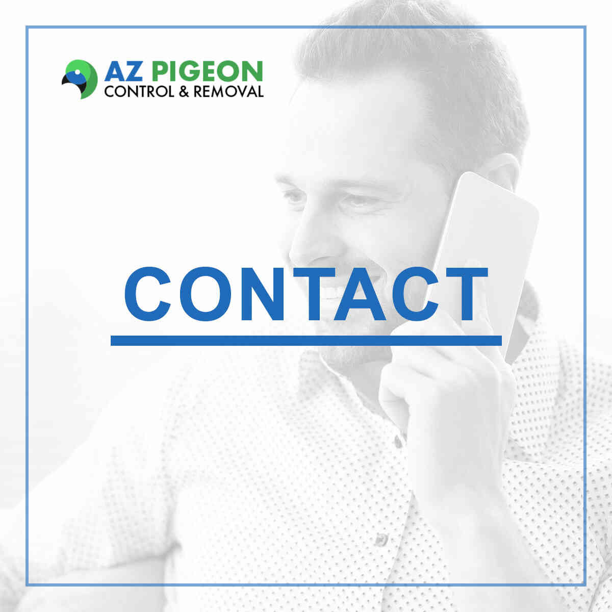 Contact Us For Pigeon Removal At AZ Pigeon Control & Removal